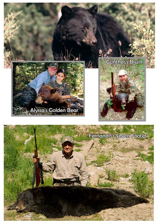 Bow and Rifle Hunting for Canada Moose and Black Bear in British ...